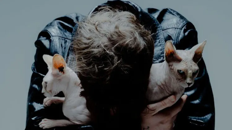 Trinity Fw Edition #3 - Le Flow - 29 janvier 2026